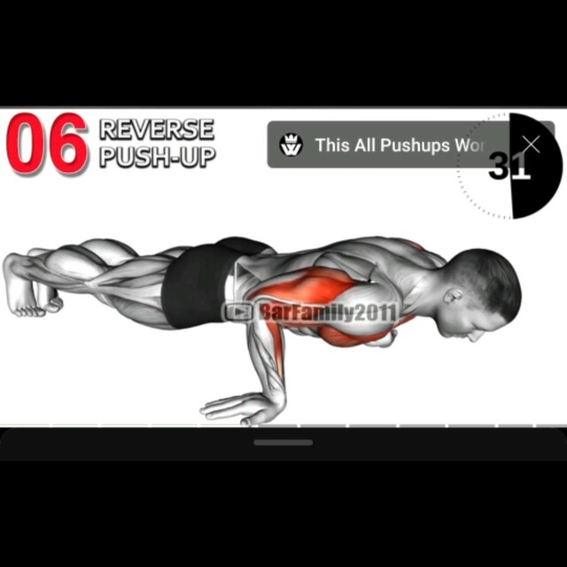 Reverse Push Up by Isreal E. - Exercise How-to - Skimble