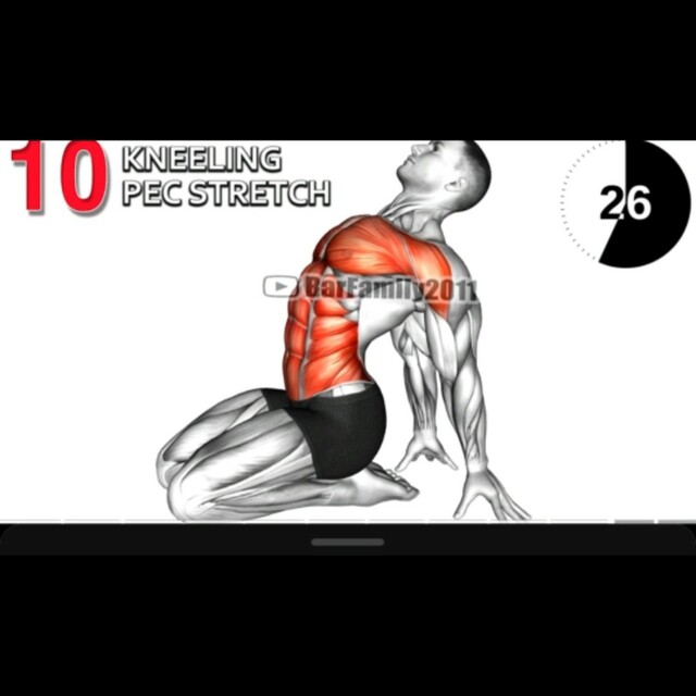 Kneeling Pbc Stretch by Isreal E. - Exercise How-to - Skimble