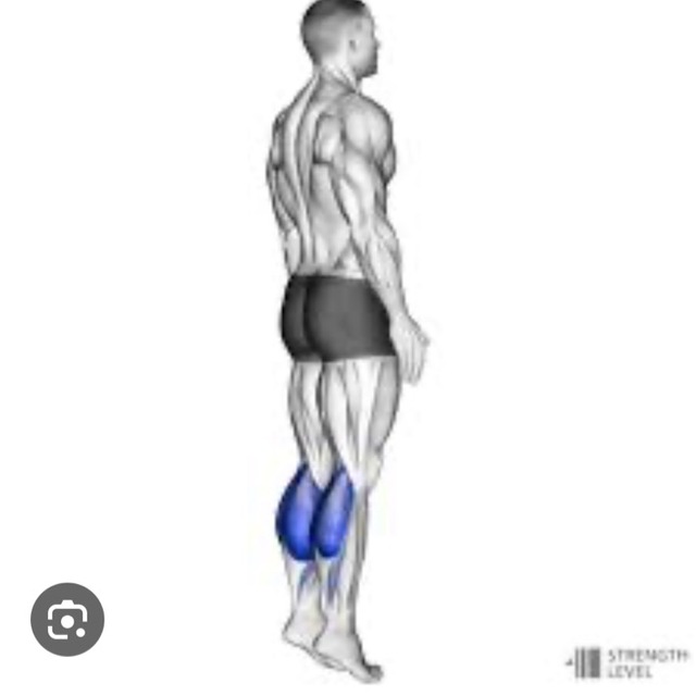 Calf raises by Krisonthis . - Exercise How-to - Skimble