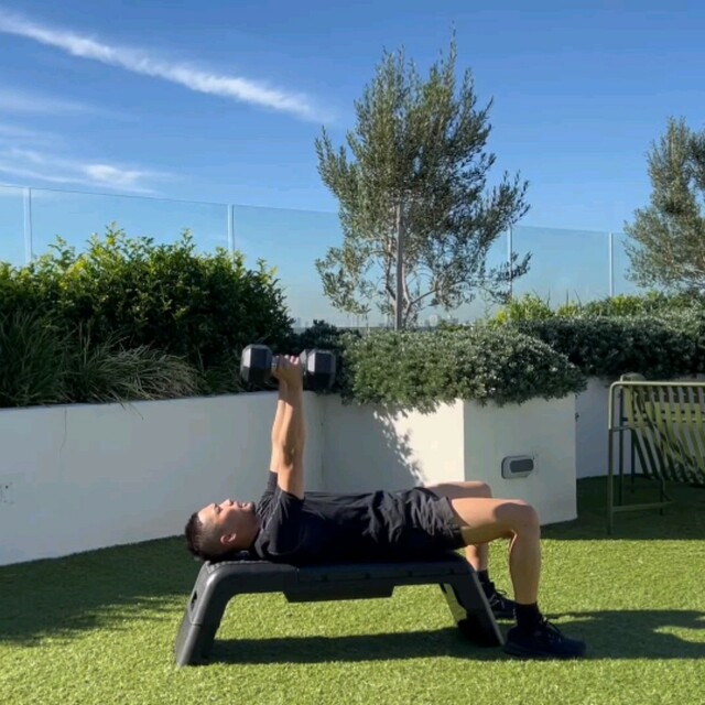 Hammer Chest Press by Tara L. - Exercise How-to - Skimble