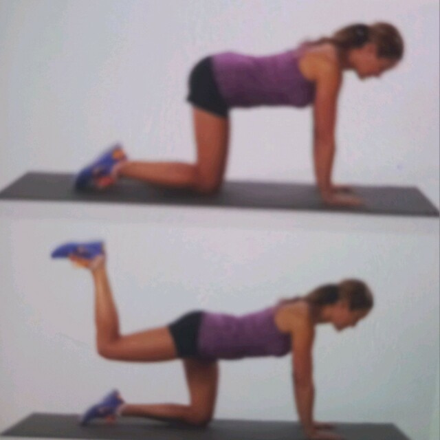 Donkey Kick by Elaine Briedenhann - Exercise How-to - Skimble