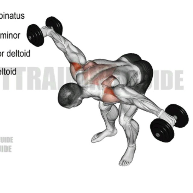 Bent Over Fly by Andrew Spear - Exercise How-to - Skimble