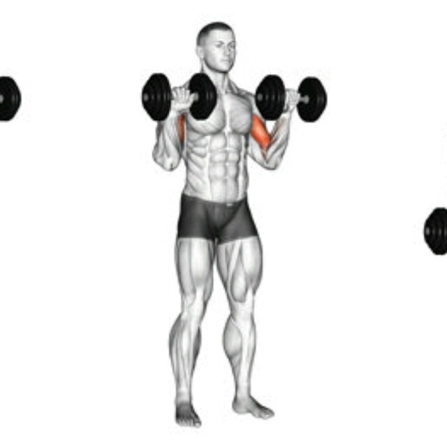 Zottman Curls by Andrew Spear - Exercise How-to - Skimble