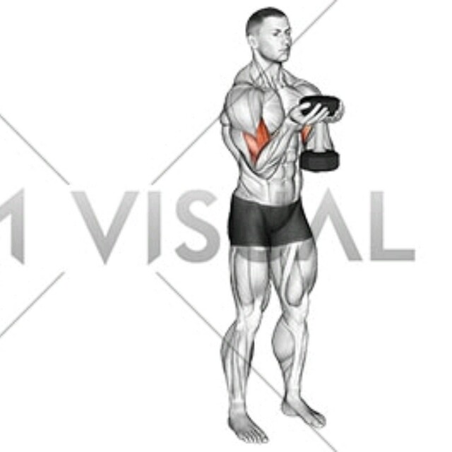 Waiter Curl by Andrew Spear - Exercise How-to - Skimble