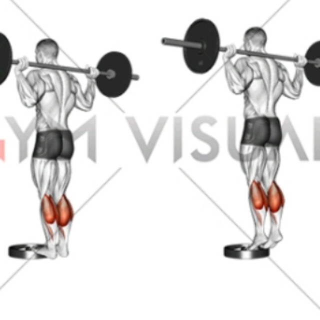 Barbell Calf Raise by Timothy Walker - Exercise How-to - Skimble