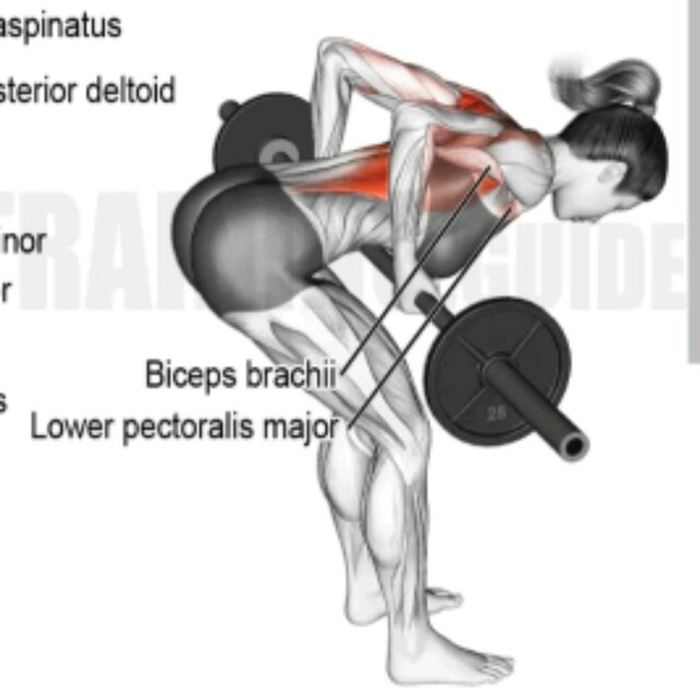 Standing Underhand EZ Bar Bent Over Row by Abigail Harris - Exercise ...