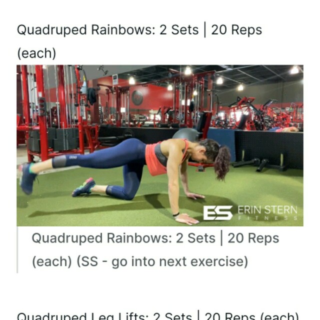 Quadruped Rainbows: 2 Sets | 20 Reps (each) by Corporal K. - Exercise ...