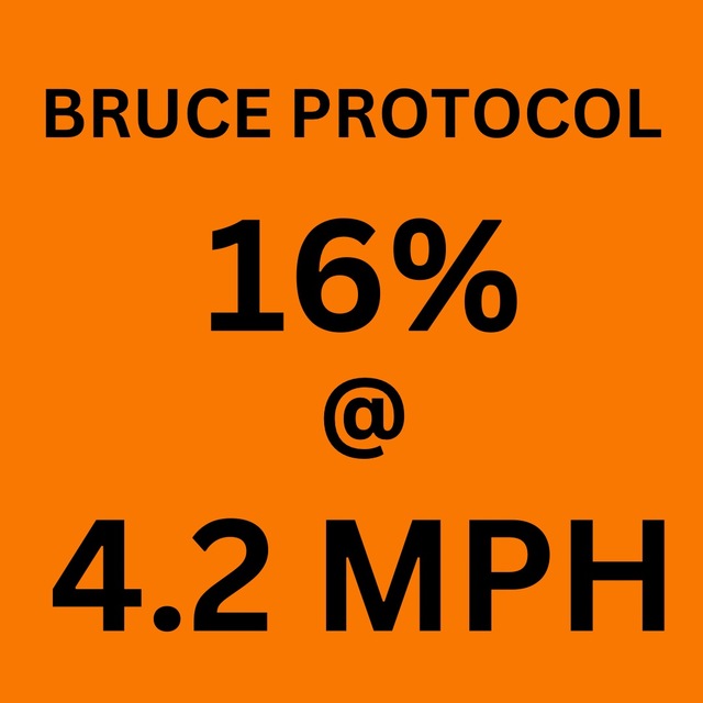 BRUCE PROTOCOL 16% @ 4.2 by Brian Fallon - Exercise How-to - Skimble