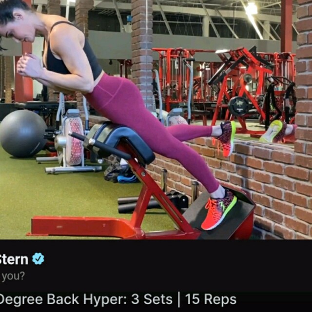 Single-leg 45 Degree Back Hyper: 3 Sets | 15 Reps by Corporal K ...
