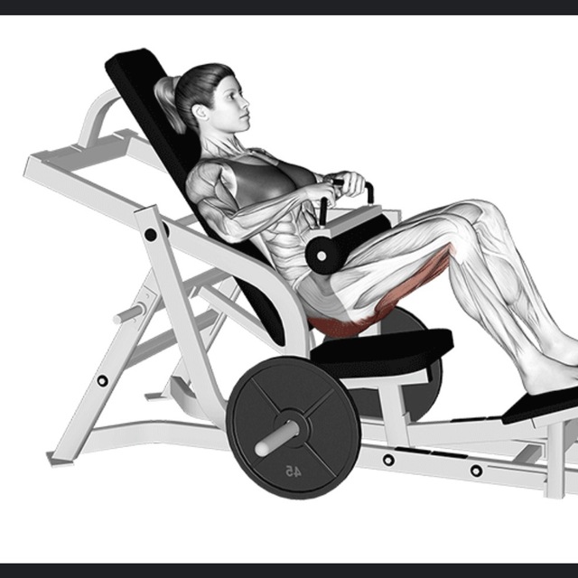 Leg Machine - Free Lower Body Workout by Jdan Bit - Skimble