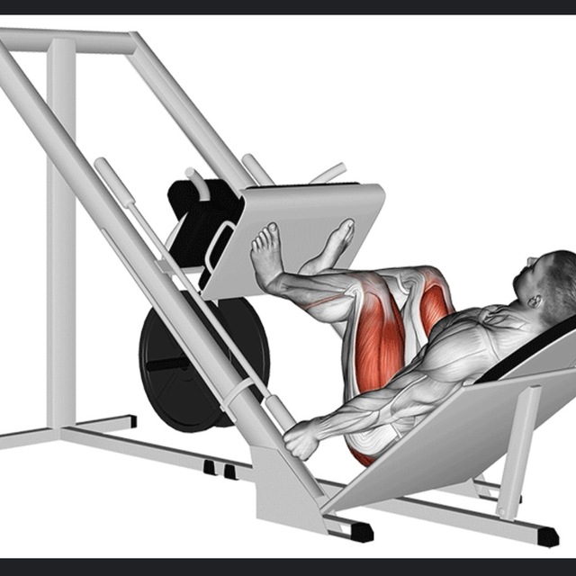 Leg Press:) by Jdan Bit - Exercise How-to - Skimble