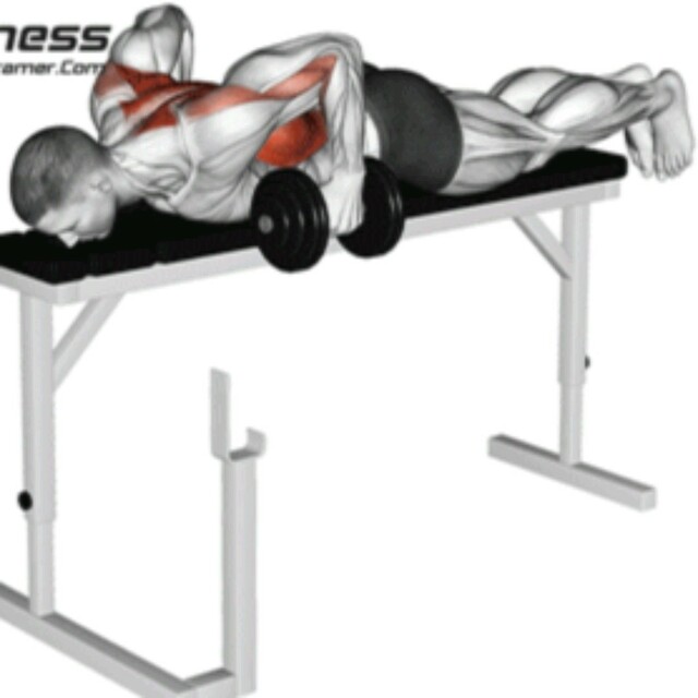 Dumbbell Seal Row by Martel Berry - Exercise How-to - Skimble