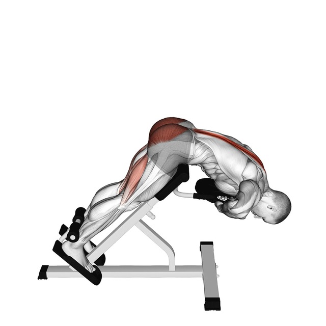 Roman Chair Back Extensions by Marie Ligay - Exercise How-to - Skimble