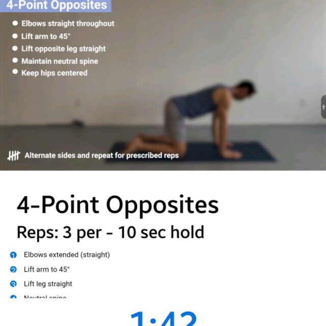 4 Point Opposites by Eo 4wellness - Exercise How-to - Skimble