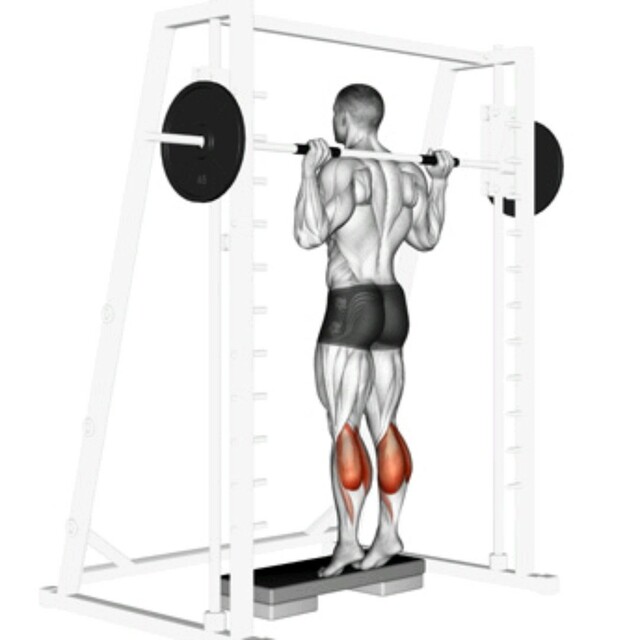 Standing Barbell Box Calf raises by Patrick A. - Exercise How-to - Skimble