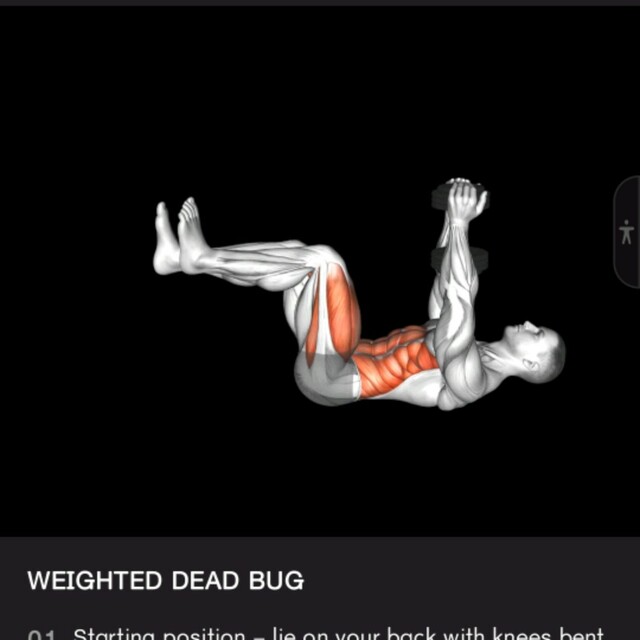 Weighted Dead Bug por Roxxi Franklin - Ejercicio Cómo hacerlo - Skimble