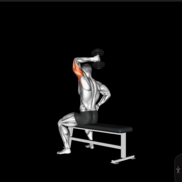 Seated Tricep Extension (left) by Roxxi Franklin - Exercise How-to ...