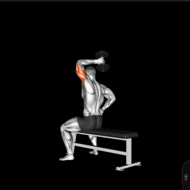 Seated Tricep Extension (Right) by Roxxi Franklin - Exercise How-to - Skimble