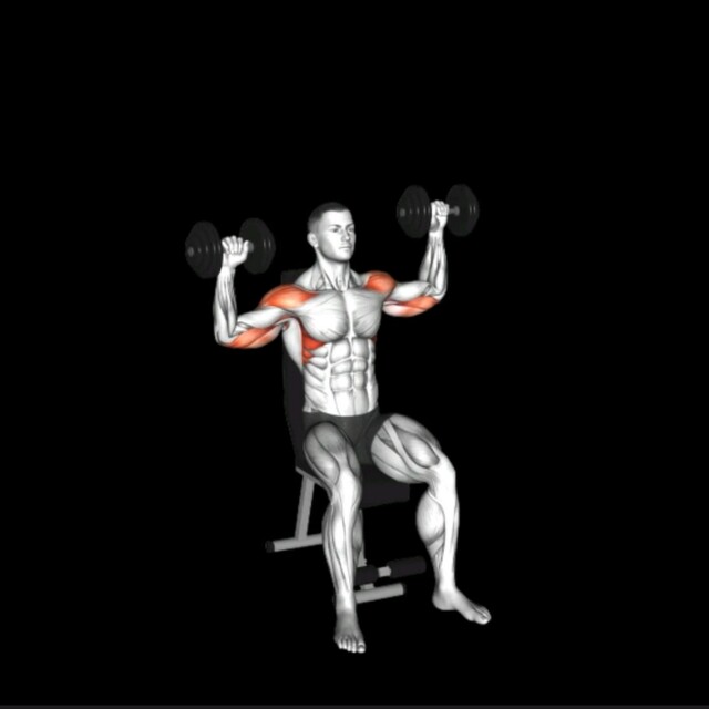 Dumbbell Seated Alternate Shoulder Press by Roxxi F. - Exercise How-to ...