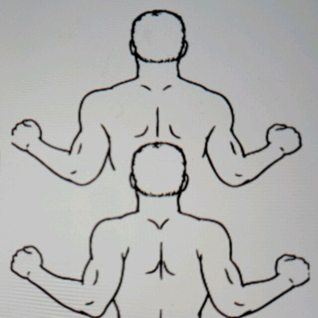 Seated Scapular Retraction by Susan H. - Exercise How-to - Skimble