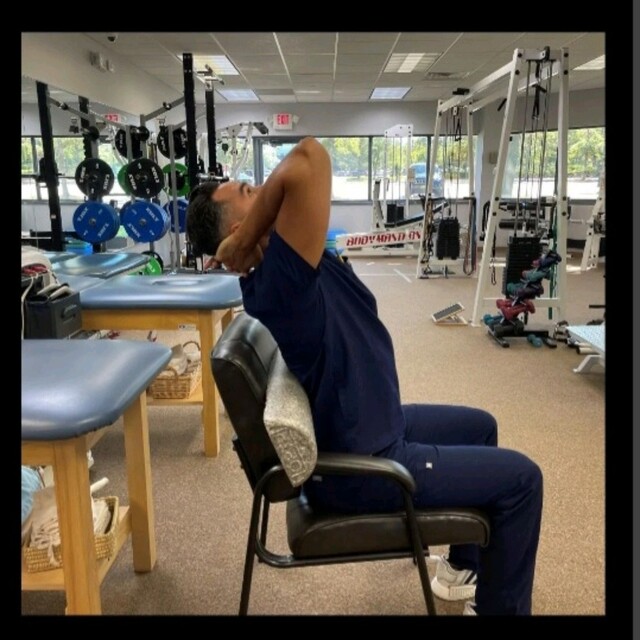 Seated Thoracic Lumbar Extension by Susan H. - Exercise How-to - Skimble