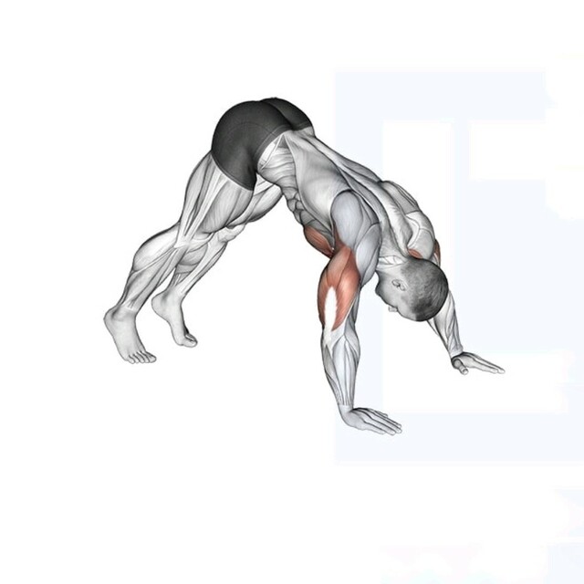 pike Push Ups by Eliya Nahshon - Exercise How-to - Skimble