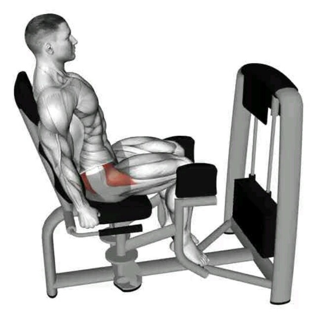 Adutores E Abdutores De Quadril