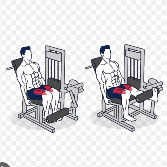 Leg Extension by Mimi K. - Exercise How-to - Skimble