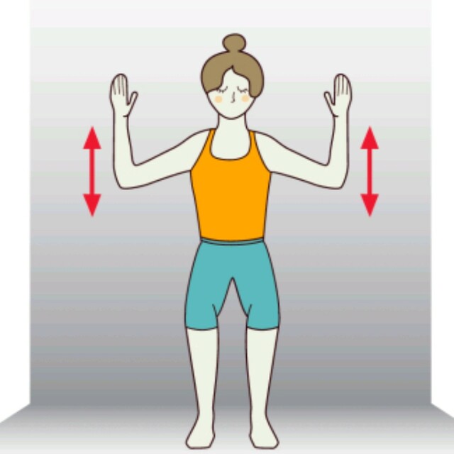 Cactus Arms pulldowns On Wall by 𝔻𝕖𝕤𝕖𝕣𝕥 𝔽𝕠𝕩🦊 🌟 - Exercise How-to - Skimble