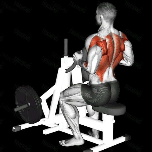 Chest Supported Row Machine by Martel Berry - Exercise How-to - Skimble