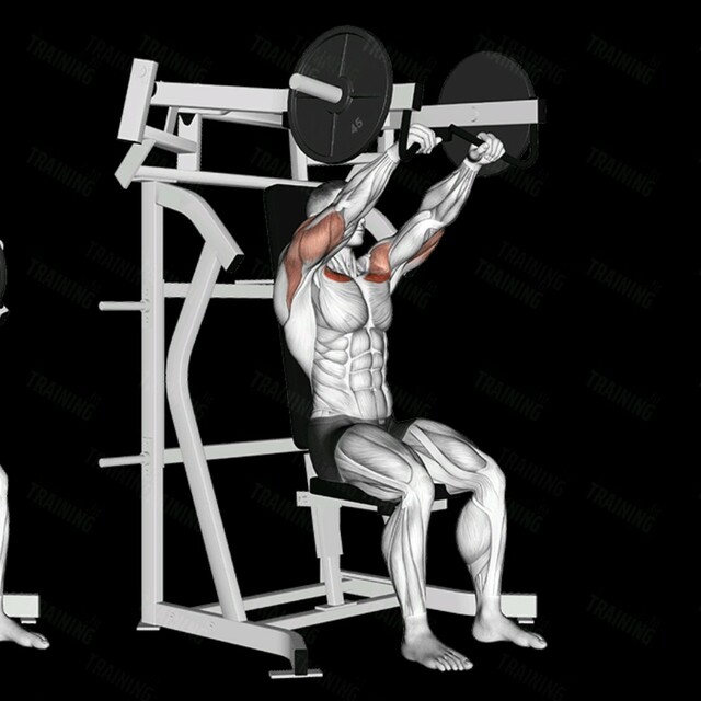 Chest press machine incline by M P - Exercise How-to - Skimble