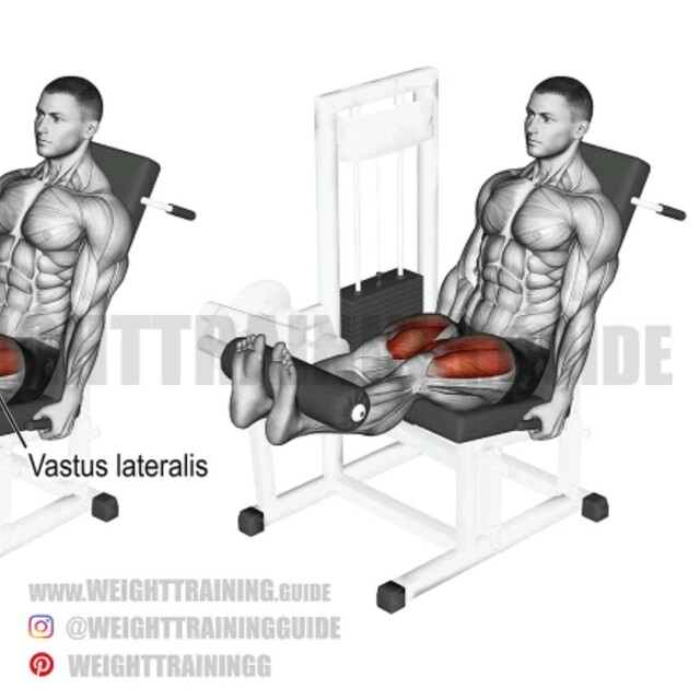 Leg extension by M P - Exercise How-to - Skimble Workout Trainer