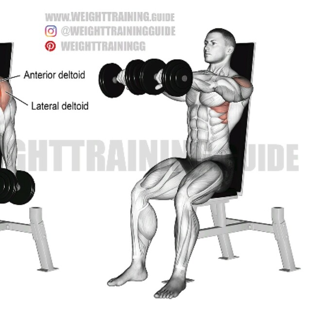 DB front delt raises seated by M P - Exercise How-to - Skimble