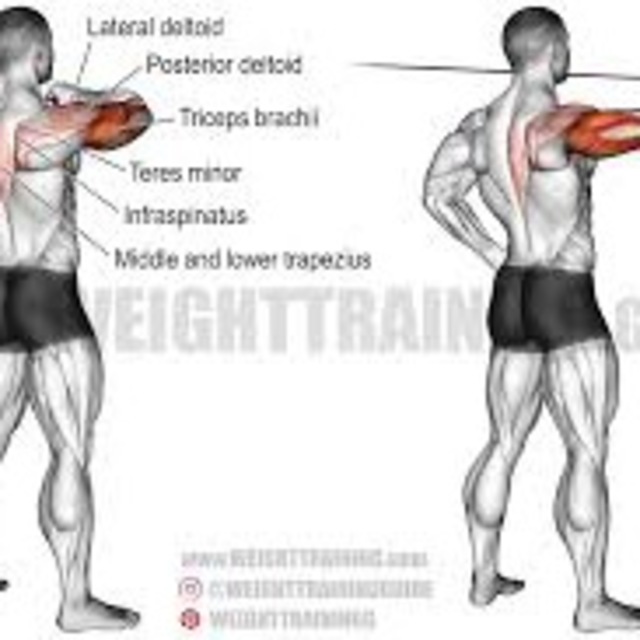 Cable Rear Drive by Tyler Myette - Exercise How-to - Skimble