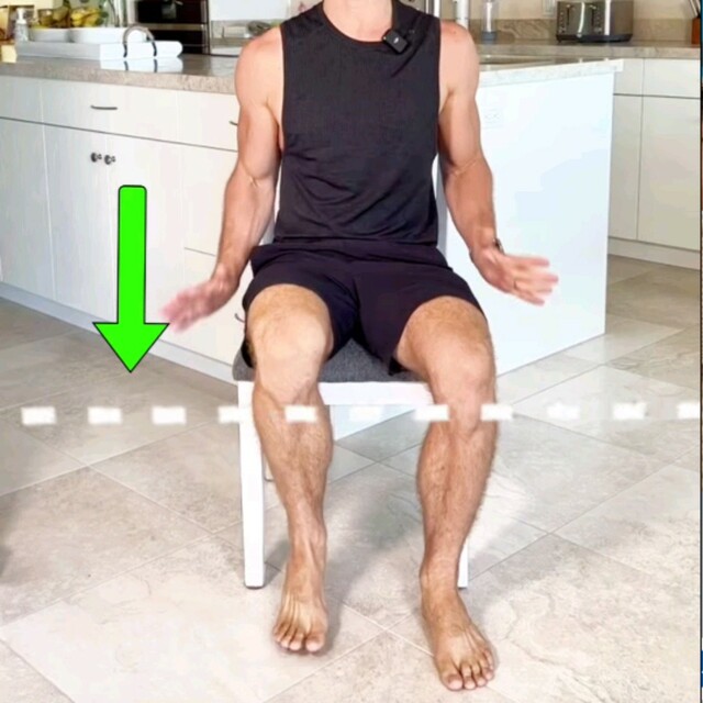 Seated Leg Kicks by Eo 4wellness - Exercise How-to - Skimble