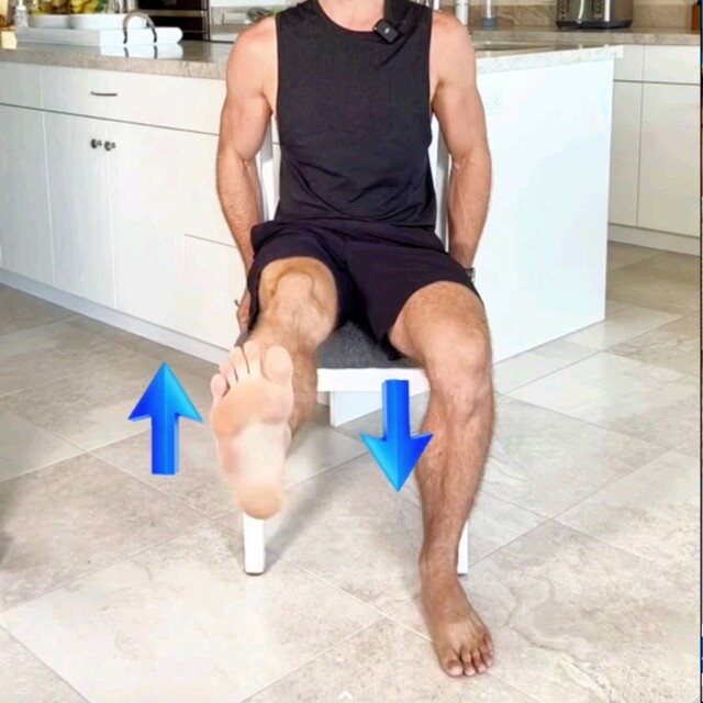 Seated Leg Lift Extensions by Eo 4wellness - Exercise How-to - Skimble