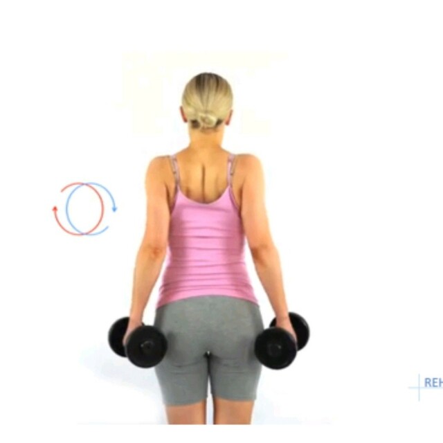 WEIGHTED SHOULDER ROLLS by Kimberly C. - Exercise How-to - Skimble