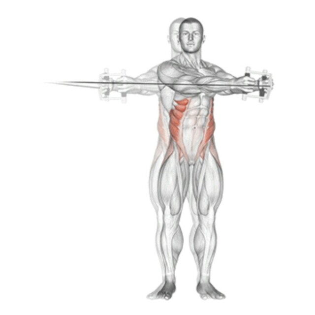 Cable Russian Twists by Kendall Moore - Exercise How-to - Skimble