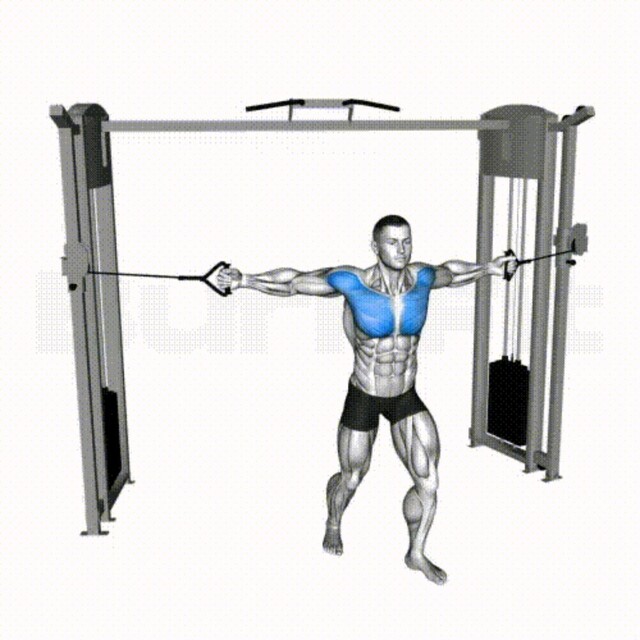 Standing Mid Flys with Cable by Kendall Moore - Exercise How-to - Skimble