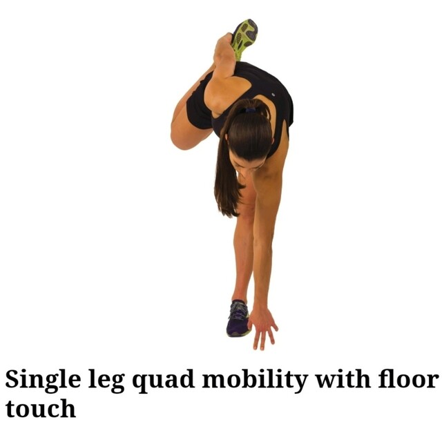 Quad Mobility With Floor Touch by Terrence Laukkanen - Exercise How-to ...