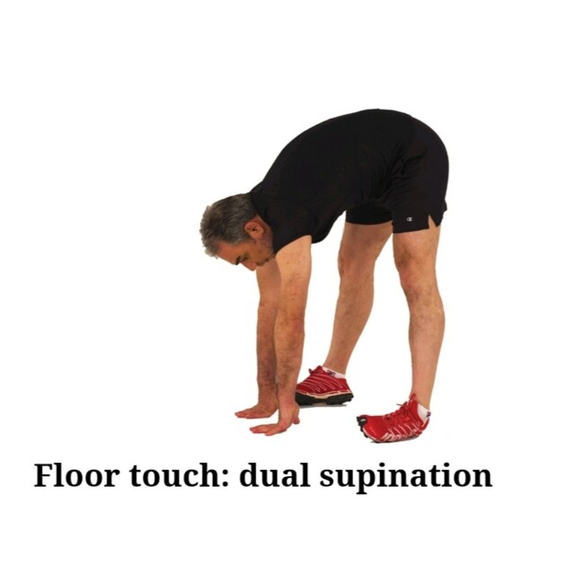 Floor Touch Dual Supination by Terrence Laukkanen - Exercise How-to ...