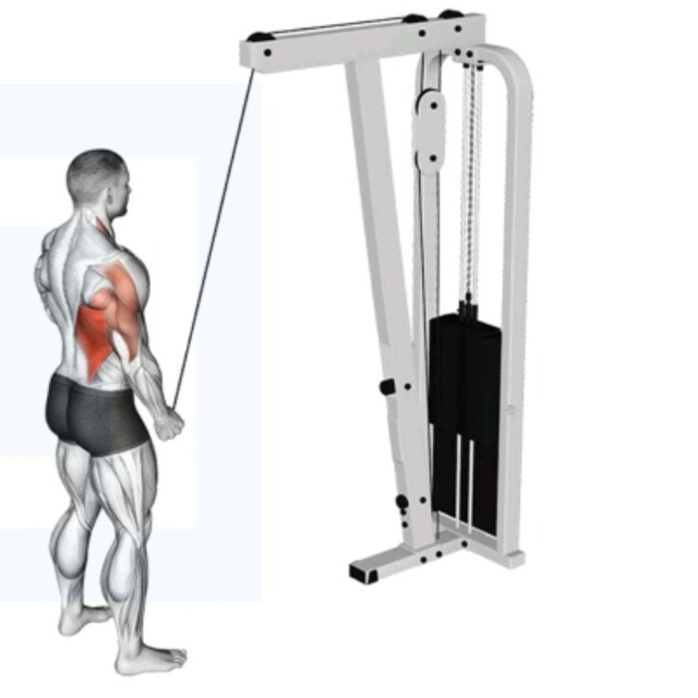 Cable Single Arm Pulldown by 𝔻𝕖𝕤𝕖𝕣𝕥 𝔽𝕠𝕩🦊 🌟 - Exercise How-to - Skimble