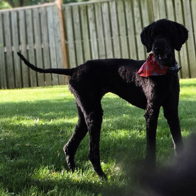 Maddy Pole 3 by Mara G. - Exercise How-to - Skimble