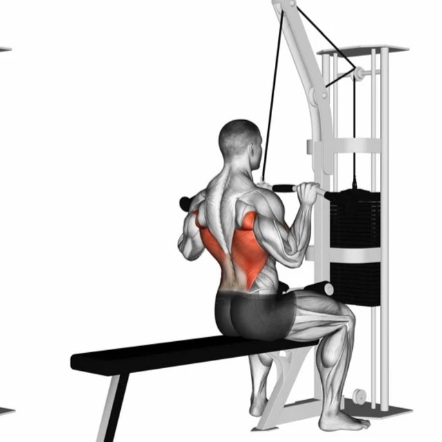 Lat Pulldown 1 by Leyna Zapata - Exercise How-to - Skimble