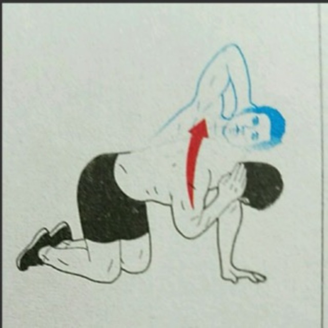 Quadruped Thoracic Rotation by Allen Burcham - Exercise How-to - Skimble