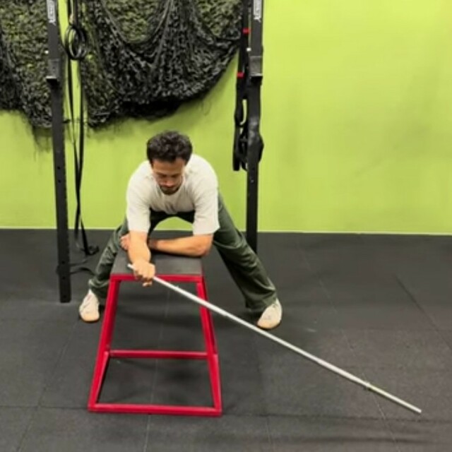 Elbow pronation & supination with stick by Alex 🌊. - Exercise How-to ...
