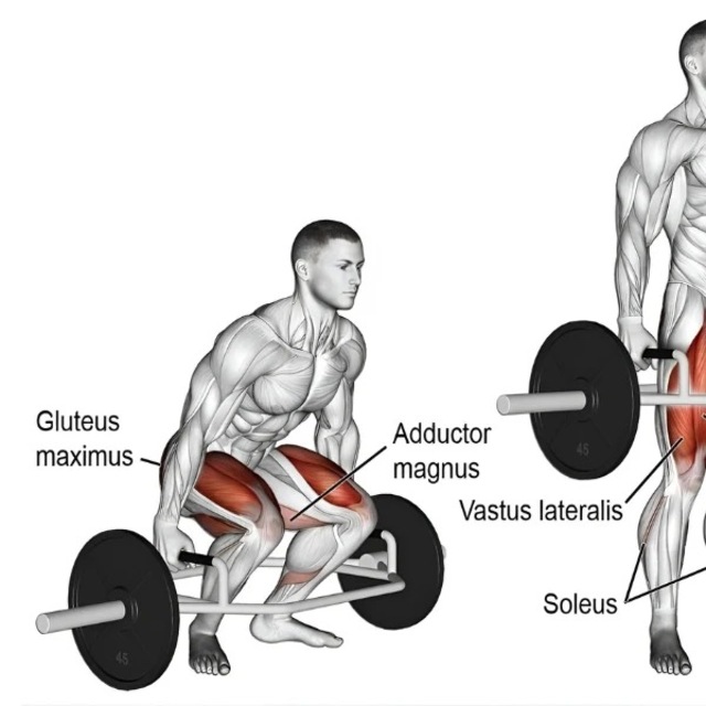 Modified Deadlift by Dro Martini - Exercise How-to - Skimble