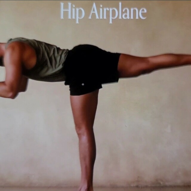 Hip Airplane by H H - Exercise How-to - Skimble Workout Trainer