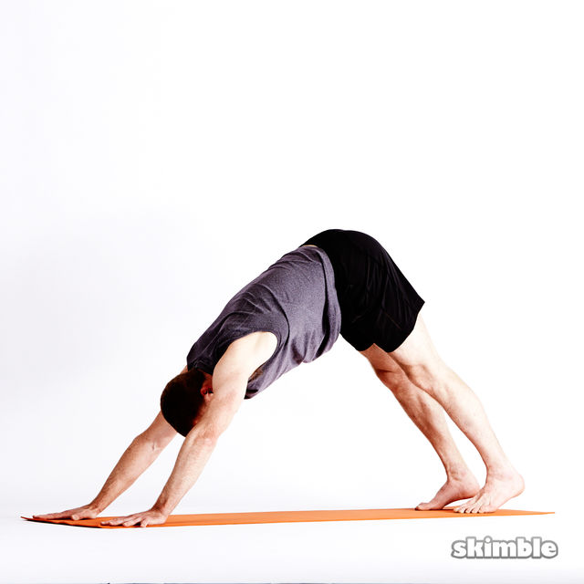 Perro que mira hacia abajo girando a la derecha - Ejercicio Cómo ...