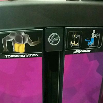 Torso Rotation - Exercise How-to - Workout Trainer by Skimble